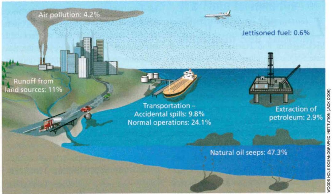 The Search For Oil Spill Data Martin Ottaway Van Hemmen Dolan Inc 